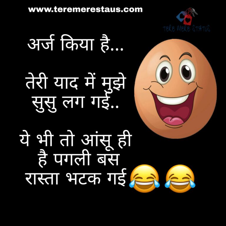 Comedy Shayari in Hindi| Best Funny Shayari in Hindi| Tere Mere Status